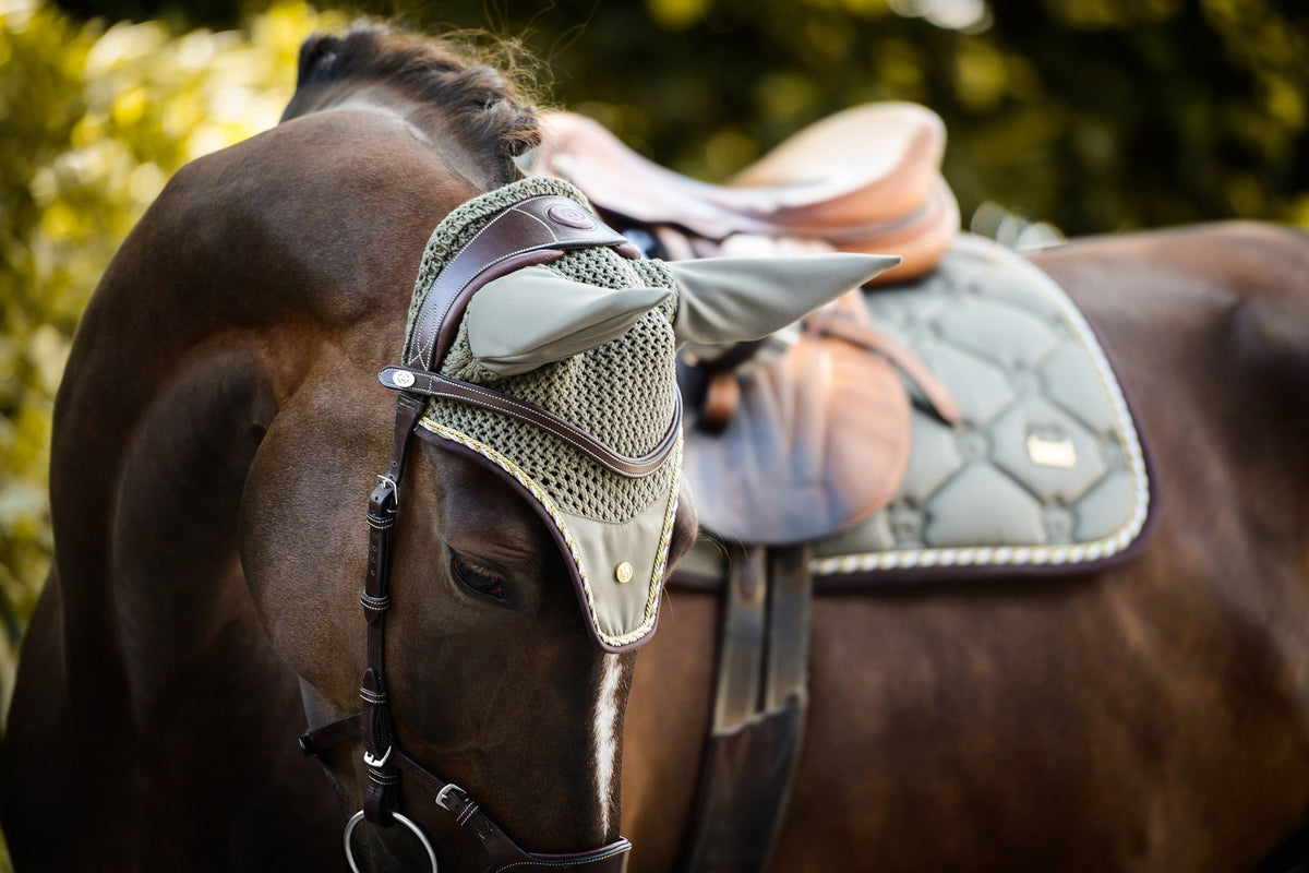 PS OF SWEDEN – Saddleworld NT