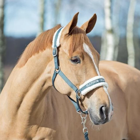 HORZE HOWARD HALTER – Saddleworld NT