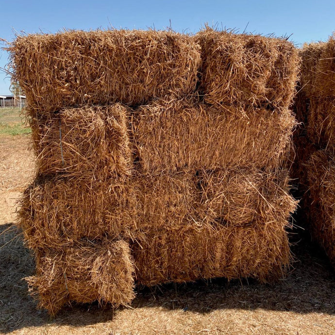 HAY – Saddleworld NT