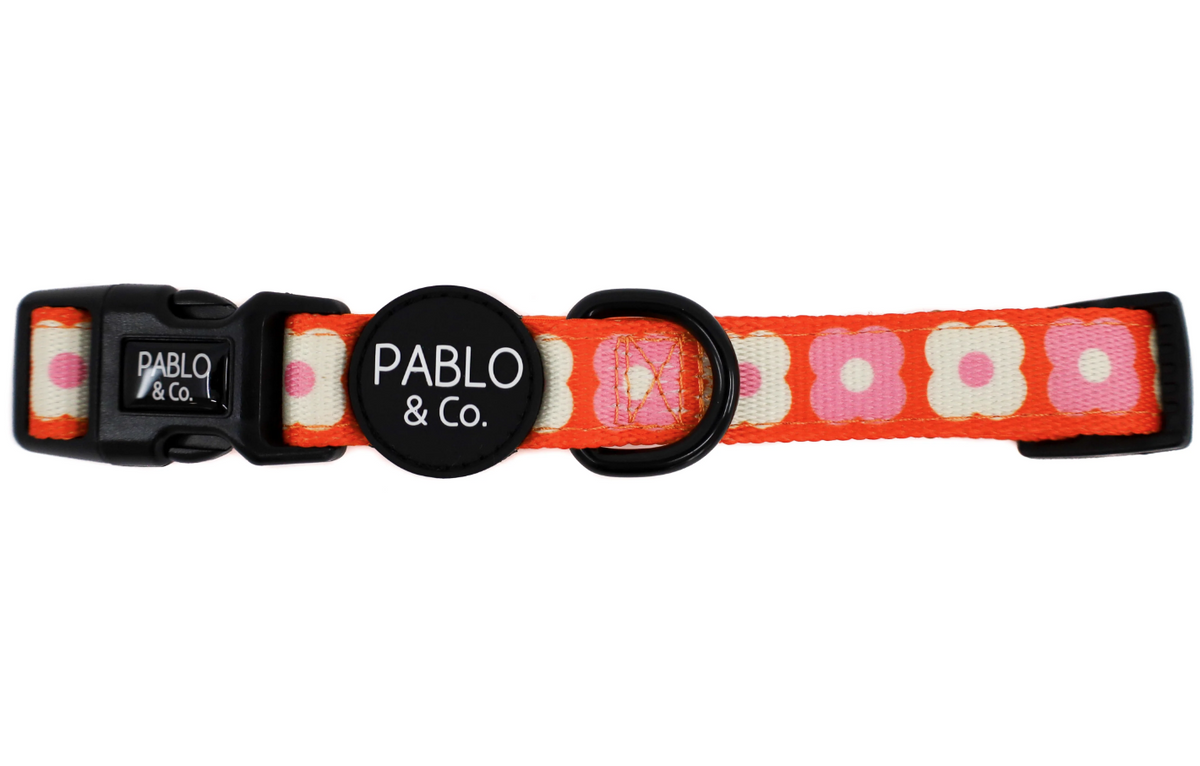 PABLO & CO PINK CHECKERED DAISIES COLLAR – Saddleworld NT