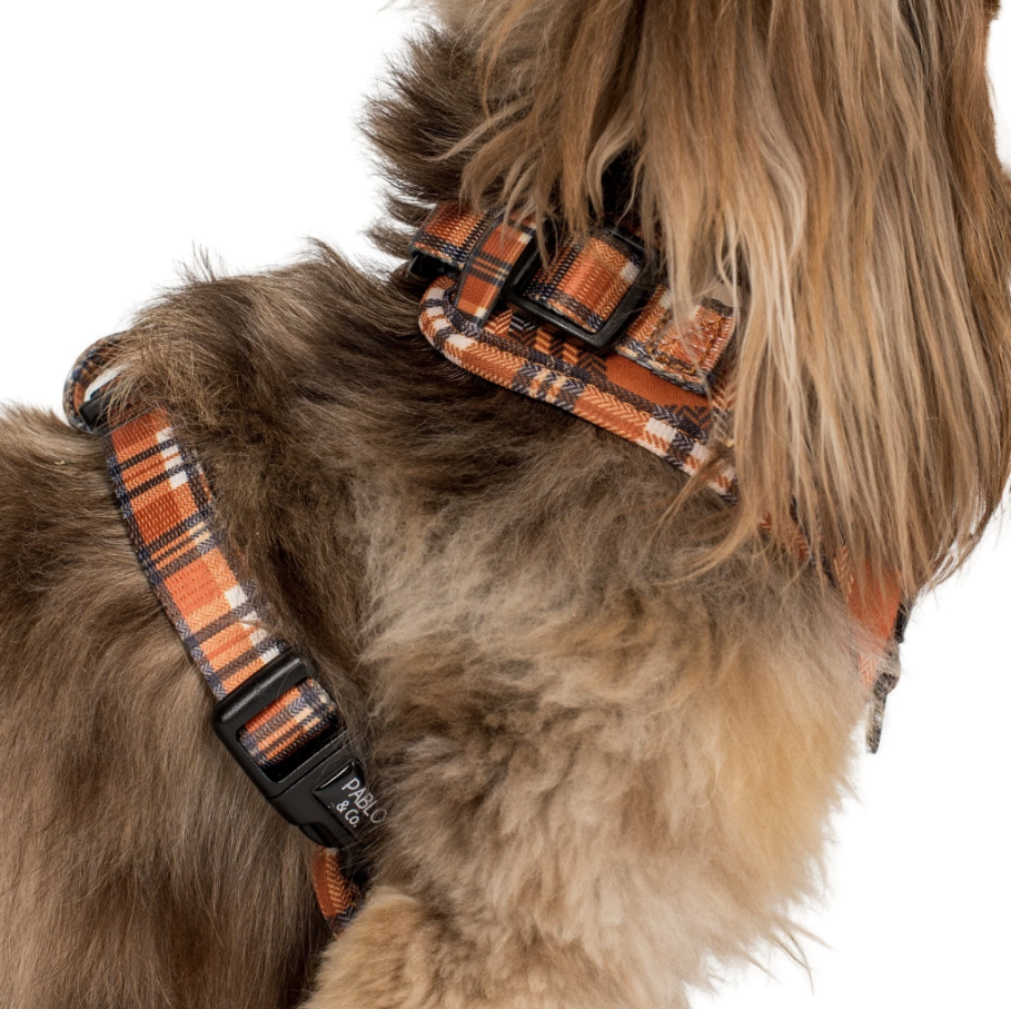 PABLO & CO VINTAGE PLAID ADJUSTABLE HARNESS – Saddleworld NT