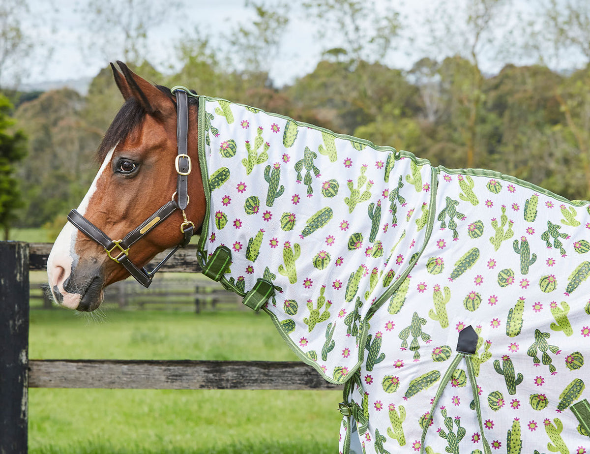 SAXON AIR MESH COOLER COMBO RUG – Saddleworld NT