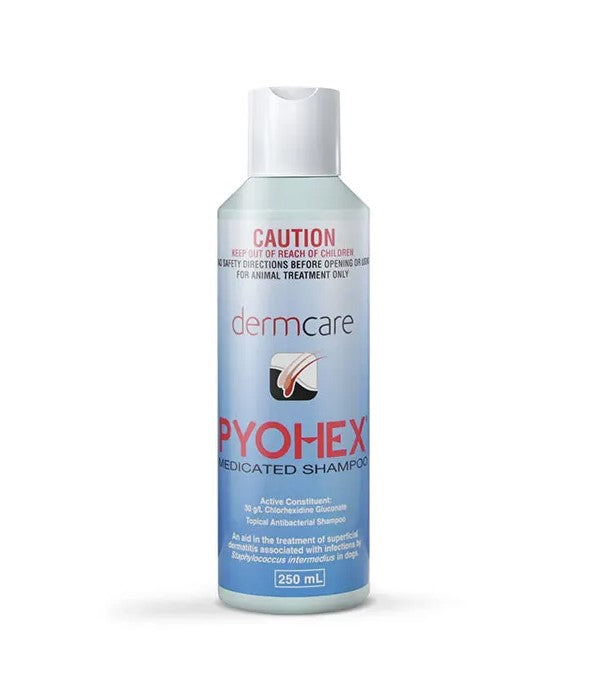 DERMCARE PYOHEX SHAMPOO – Saddleworld NT