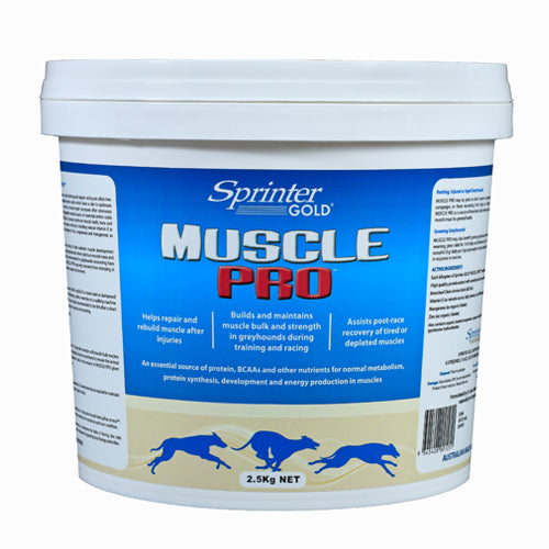 KOHNKES OWN SPRINTER GOLD MUSCLE GOLD – Saddleworld NT