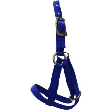 NYLON CATTLE HALTER – Saddleworld NT