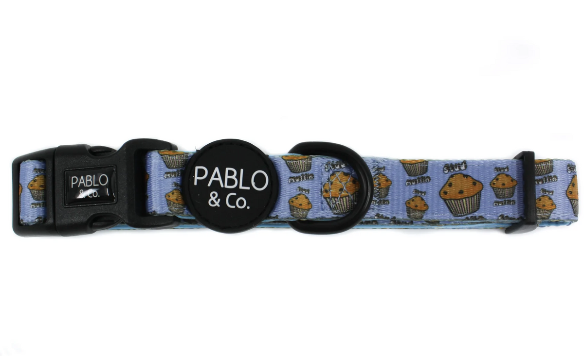 PABLO & CO STUD MUFFIN COLLAR – Saddleworld NT