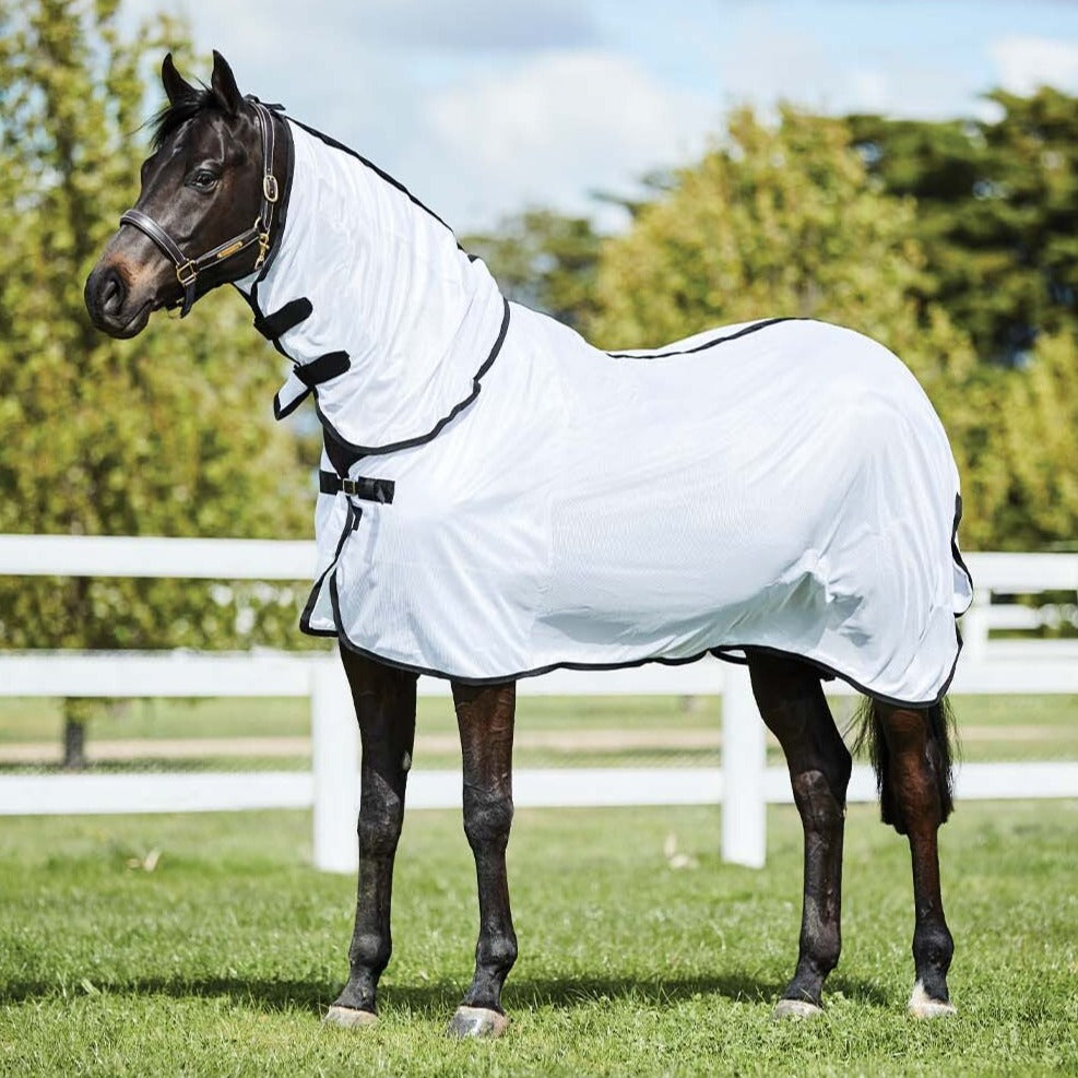 SAXON EVERYDAY MESH COMBO – Saddleworld NT